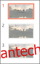 PowerPoint에서 이미지를 배경으로 사용하는 방법